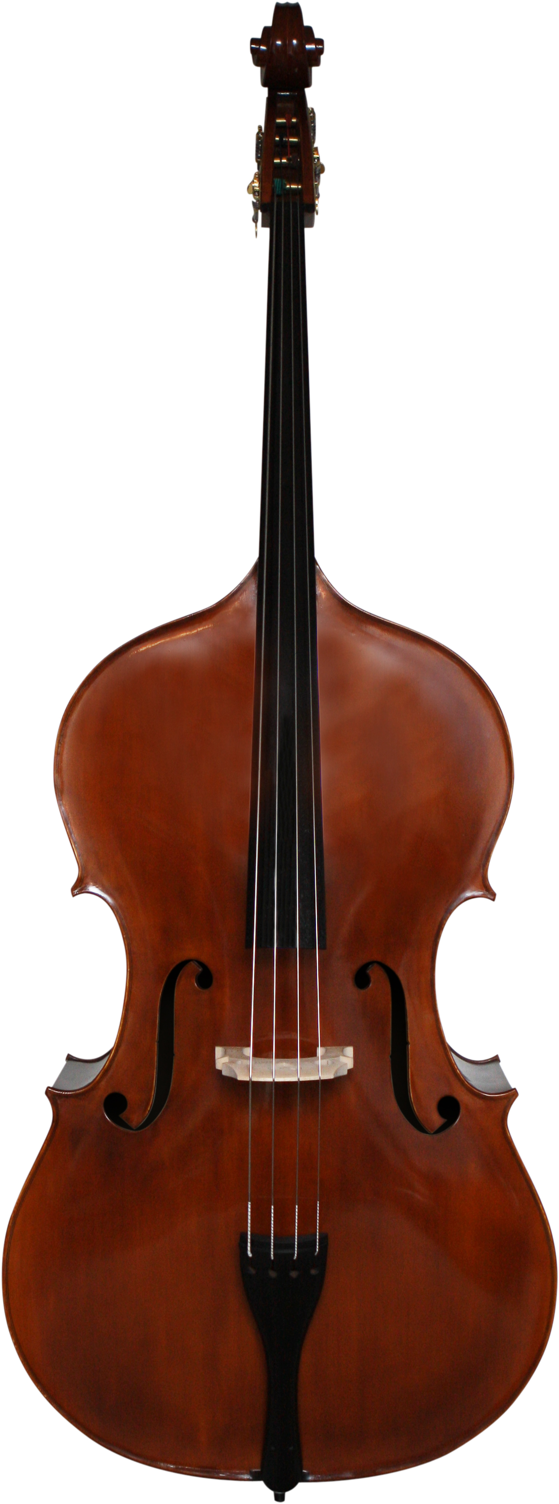 Orchestral Double Bass For Sale AUSTA Orchestral Double Bass For Sale AUSTA